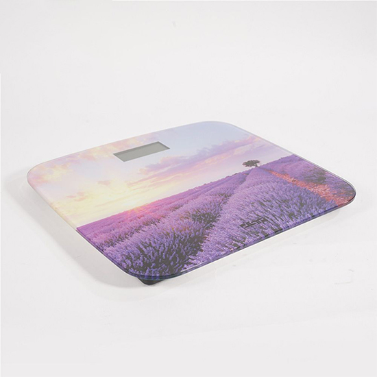 El-Iraqi Company | DSP Body Scale 180 KG KD7020